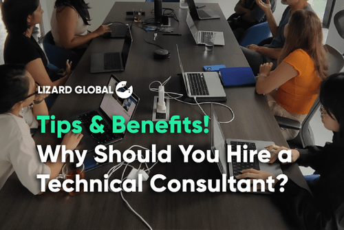 Why Should You Hire a Technical Consultant? (Tips & Benefits!) | LIZARD ...